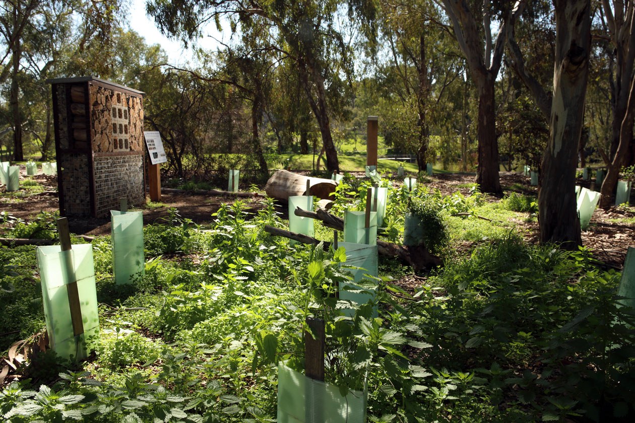 Experience Adelaide | Native Bee BnB Trail